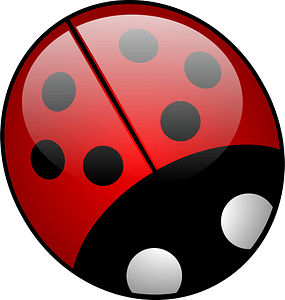 Ladybug - Free vector clipart images on creazilla.com