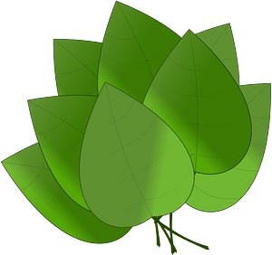 Leaves - Free vector clipart images on creazilla.com