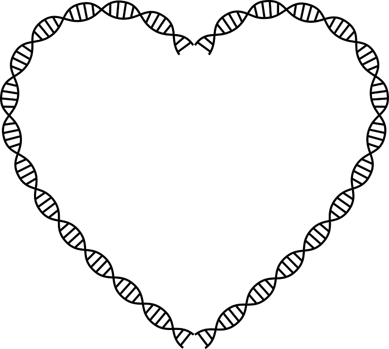 Dna - Free vector clipart images on creazilla.com