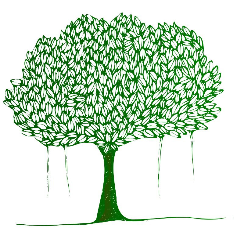 Tree with Leaves - Free vector clipart images on creazilla.com