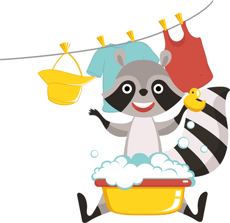Racoon washing - Free vector clipart images on creazilla.com