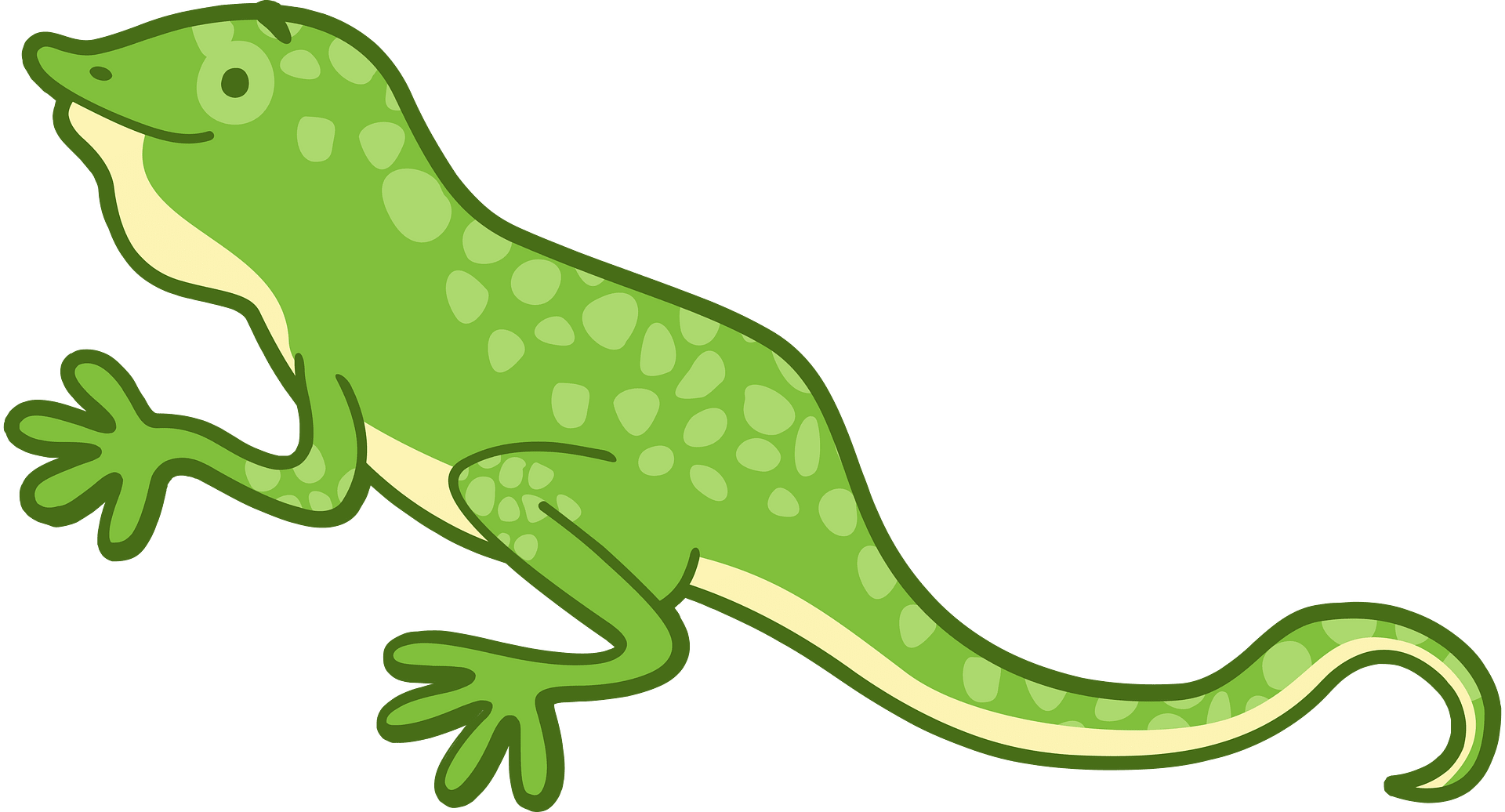 Gecko Clipart