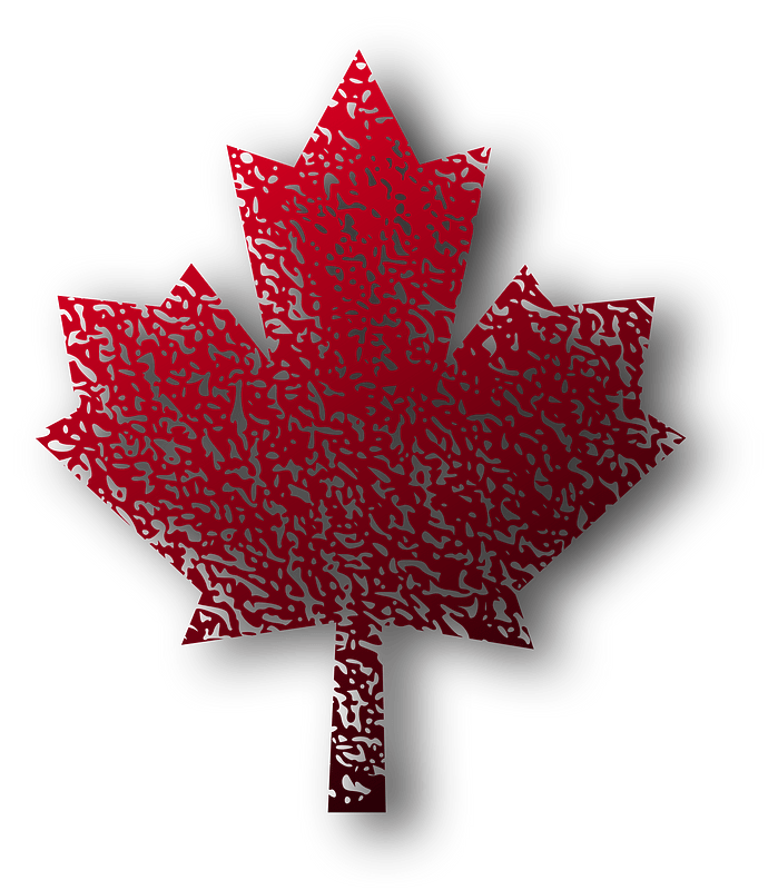 Maple Leaf - Free vector clipart images on creazilla.com
