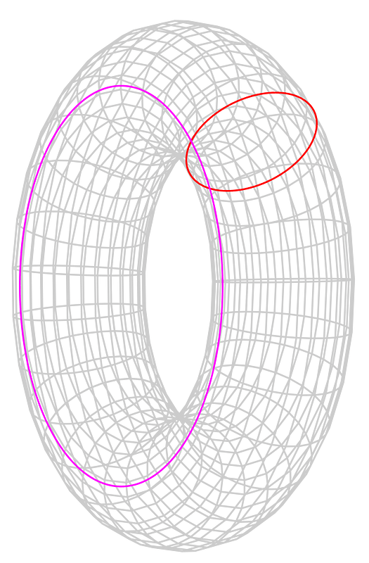 Torus cycles - Free vector clipart images on creazilla.com