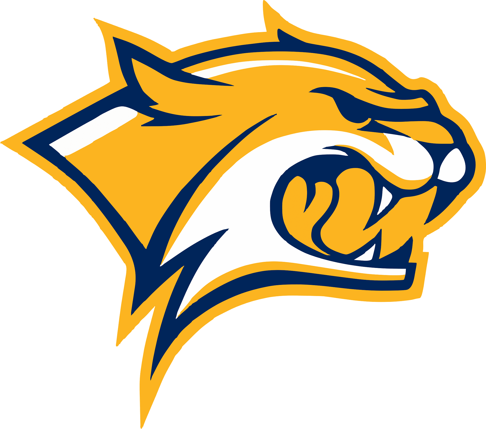 Wildcat Logo