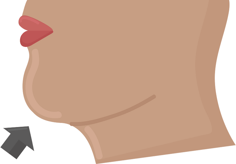 Chin clipart. Free download transparent .PNG | Creazilla