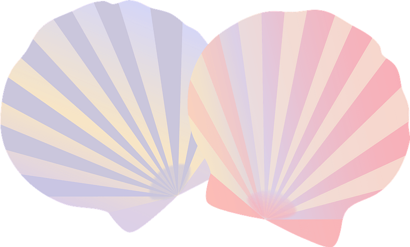 Striped Shells - Free vector clipart images on creazilla.com