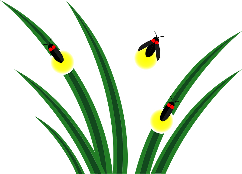 Firefly Grass - Free vector clipart images on creazilla.com