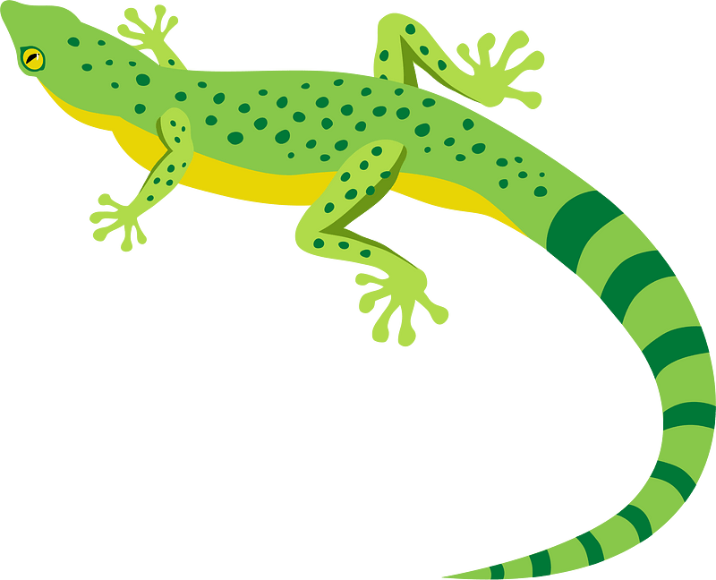 Gecko - Free vector clipart images on creazilla.com