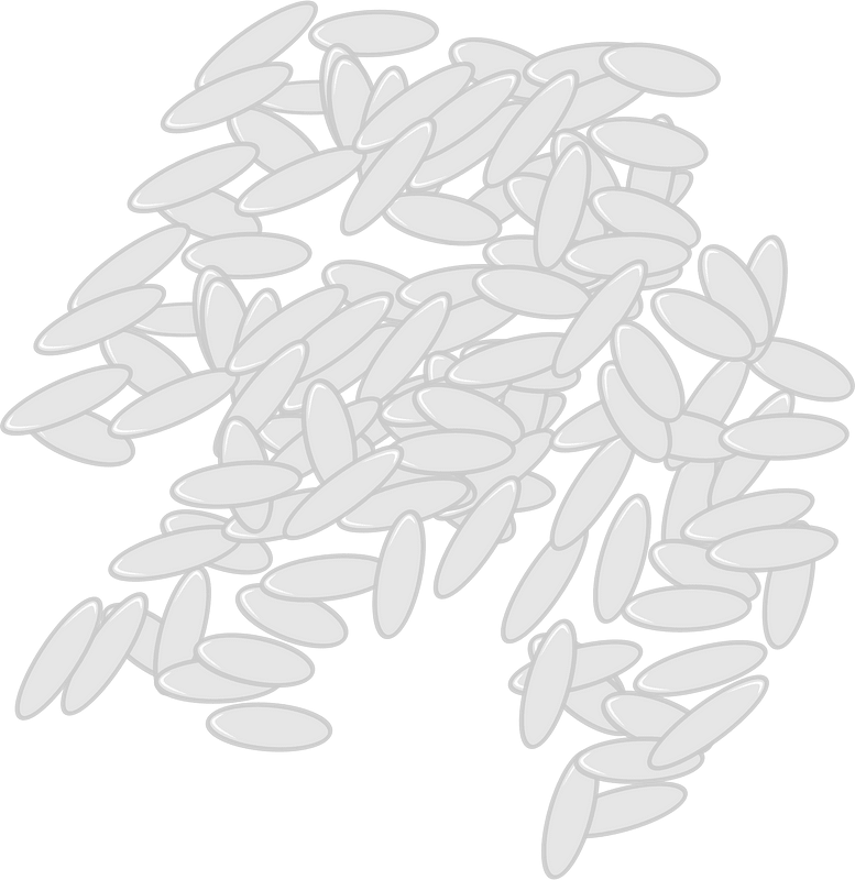 Rice clipart. Free download transparent .PNG | Creazilla