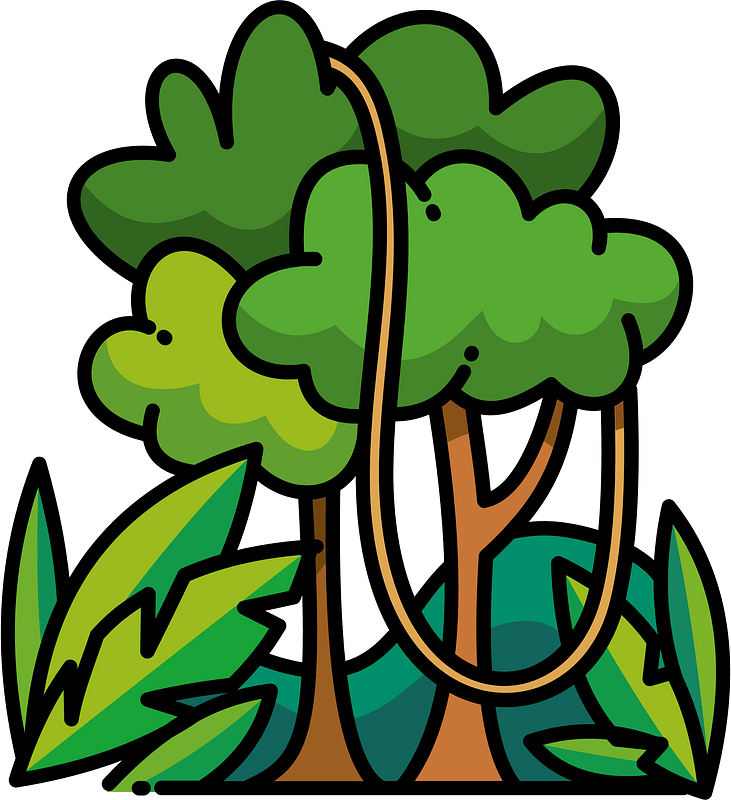Rainforest Clipart For Kids