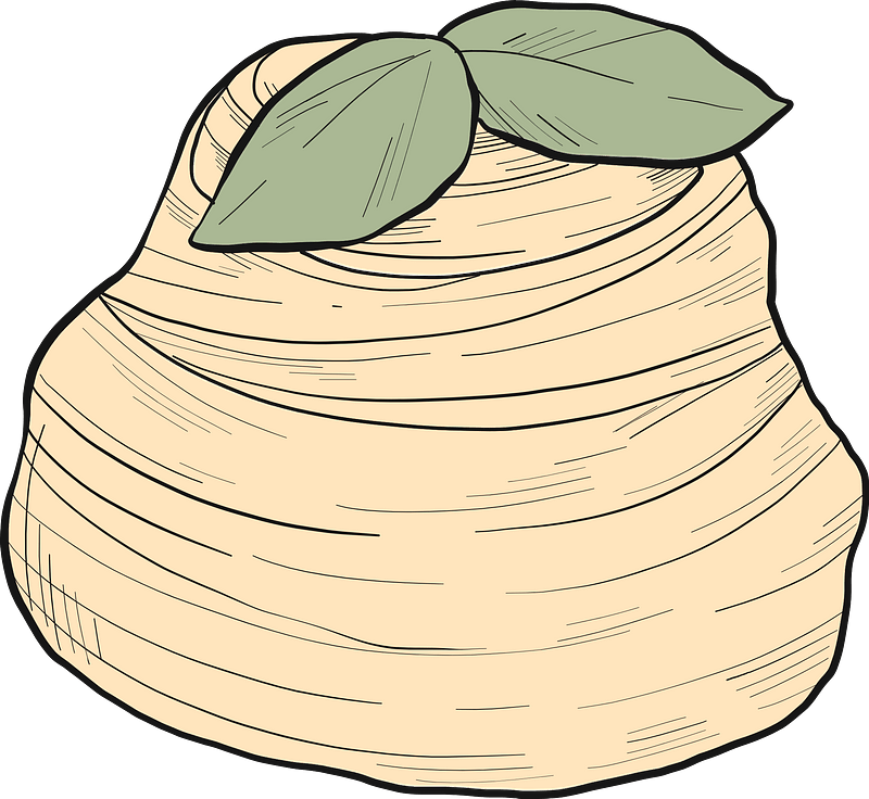 Spaghetti - Free vector clipart images on creazilla.com