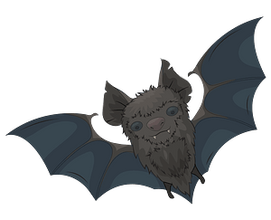 Bat - Free vector clipart images on creazilla.com