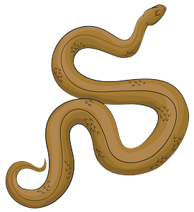 Snake clipart. Free download transparent .PNG | Creazilla