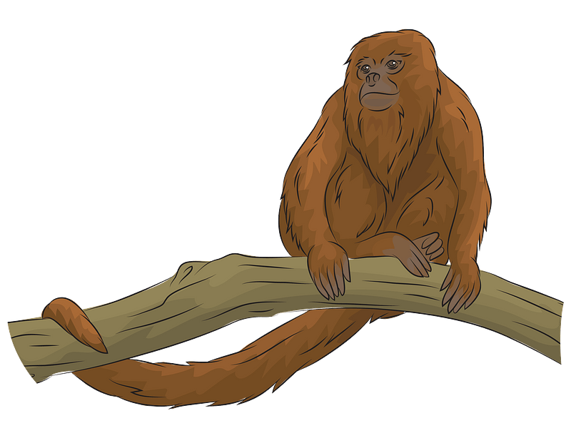 Howler Monkey Cartoon