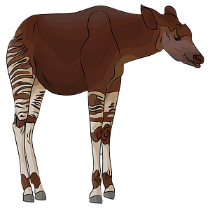 Okapi clipart. Free download transparent .PNG | Creazilla