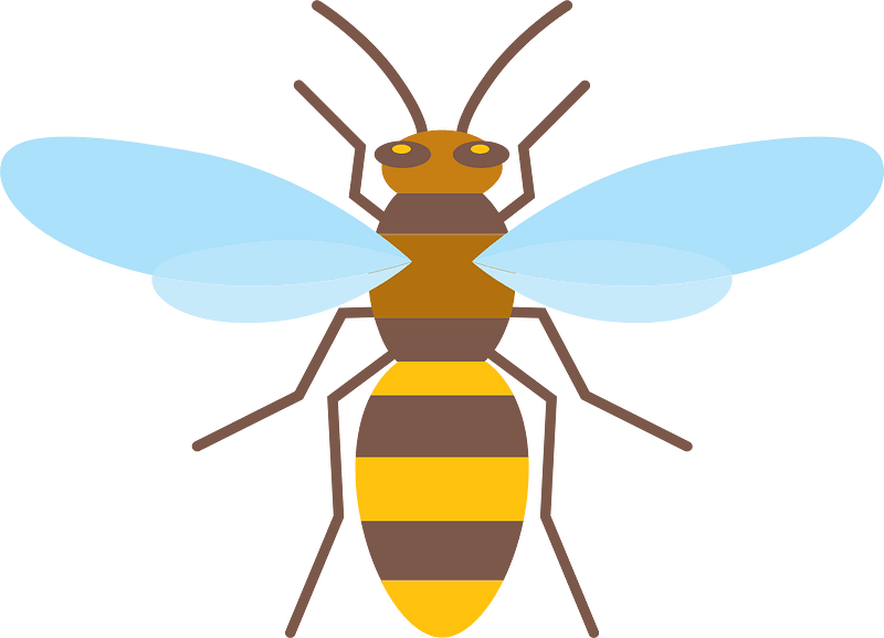 Hornet - Free vector clipart images on creazilla.com