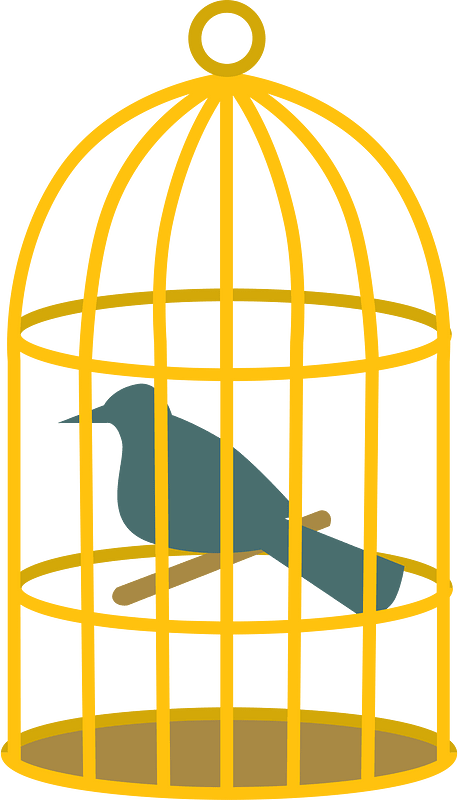 Bird cage clipart. Free download transparent .PNG | Creazilla