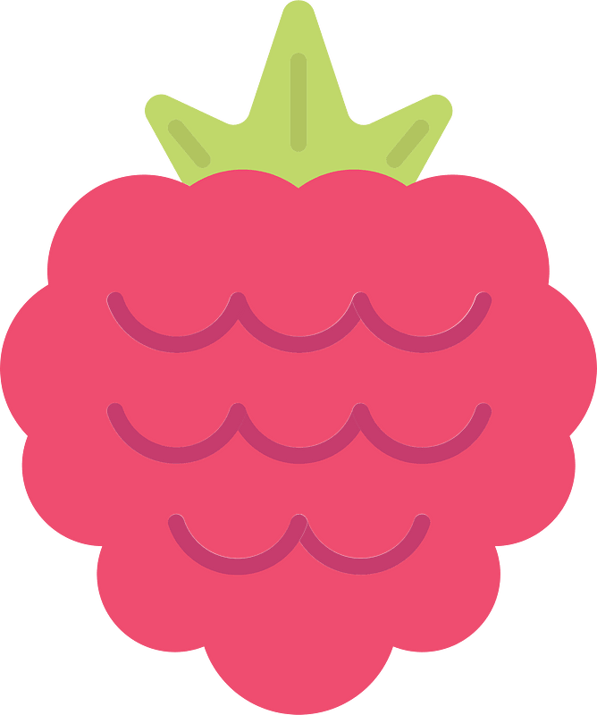 Himbeere clipart. Kostenloser Download. | Creazilla