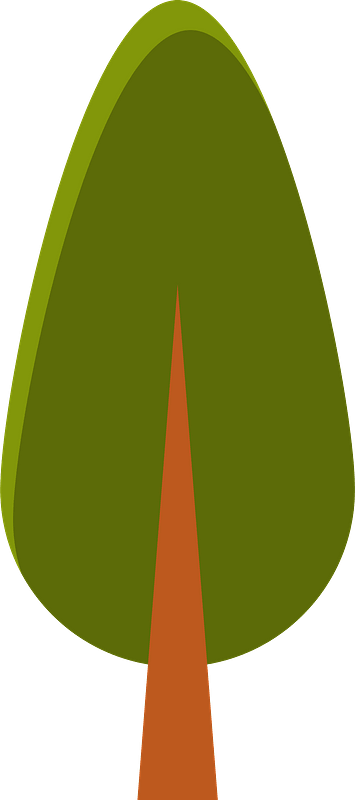 Tree clipart. Free download transparent .PNG | Creazilla