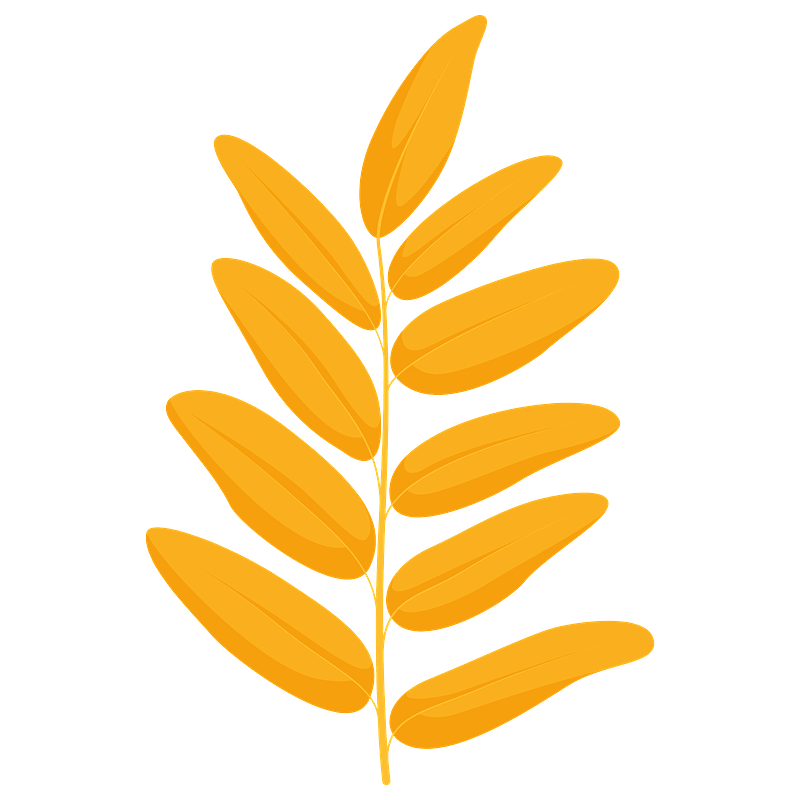 Honey locust yellow leaf clipart. Free download transparent .PNG ...