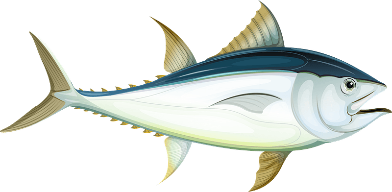 Tuna - Free vector clipart images on creazilla.com Tuna - Free vector clipart images on creazilla.com