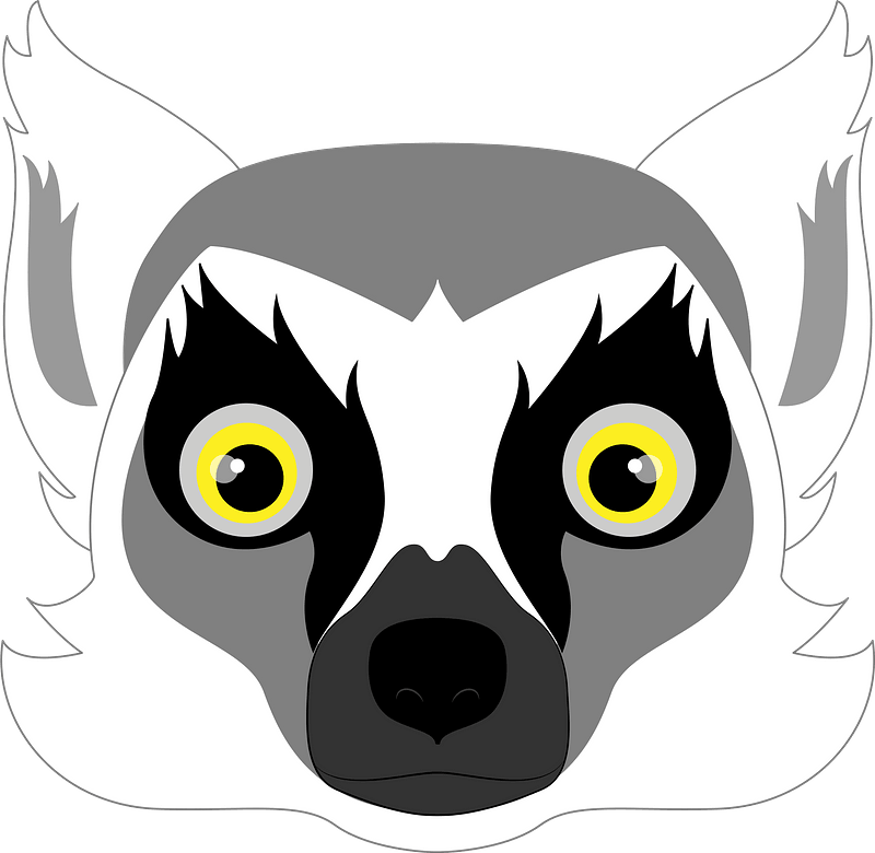 Lemur face clipart. Free download transparent .PNG | Creazilla
