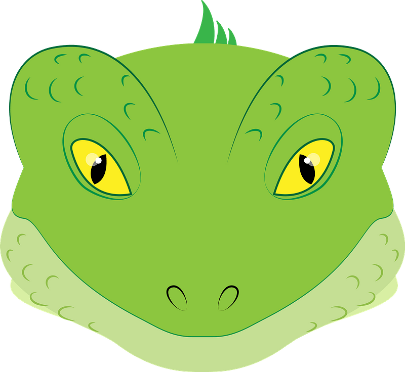 Lizard face clipart. Free download transparent .PNG | Creazilla