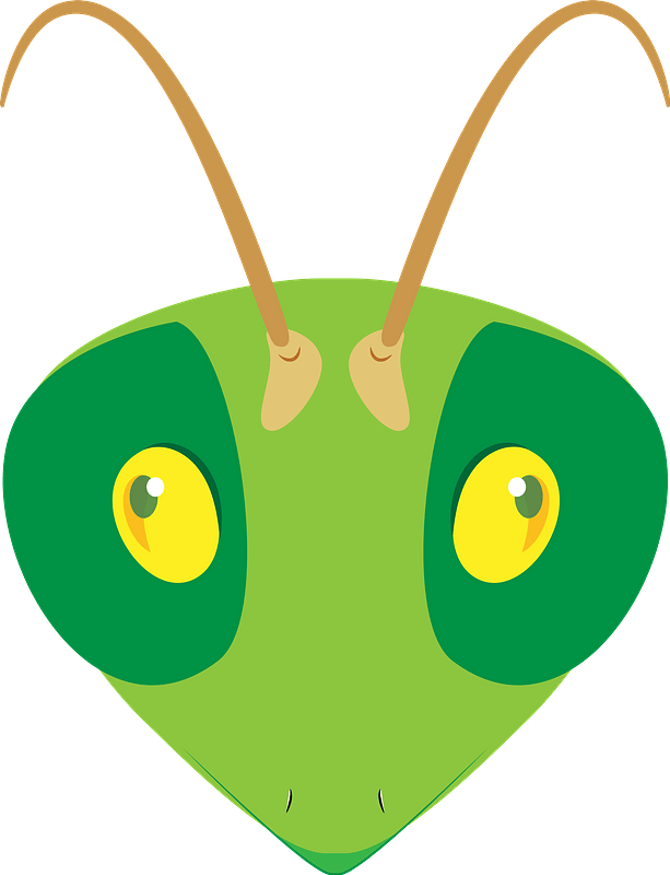 Praying mantis face - Free vector clipart images on creazilla.com