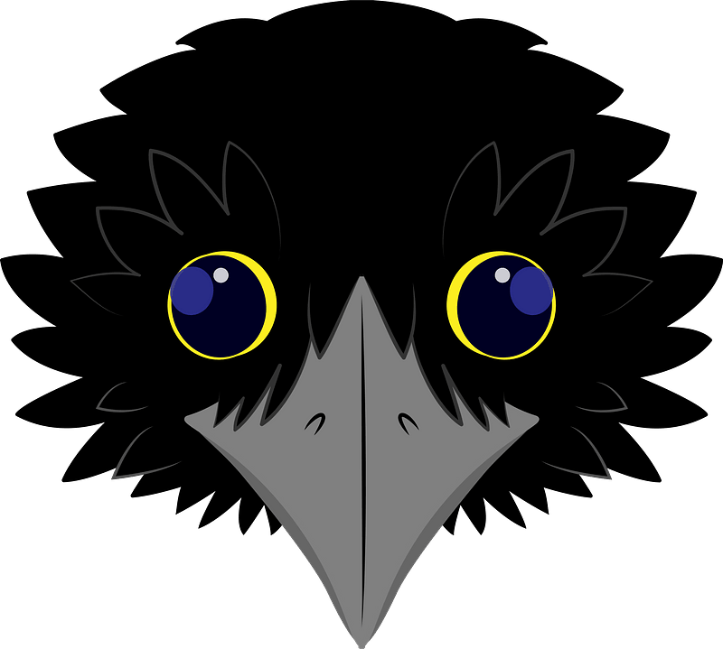 Raven face clipart. Free download transparent .PNG | Creazilla