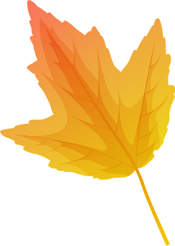 Red maple autumn leaf clipart. Free download transparent .PNG | Creazilla