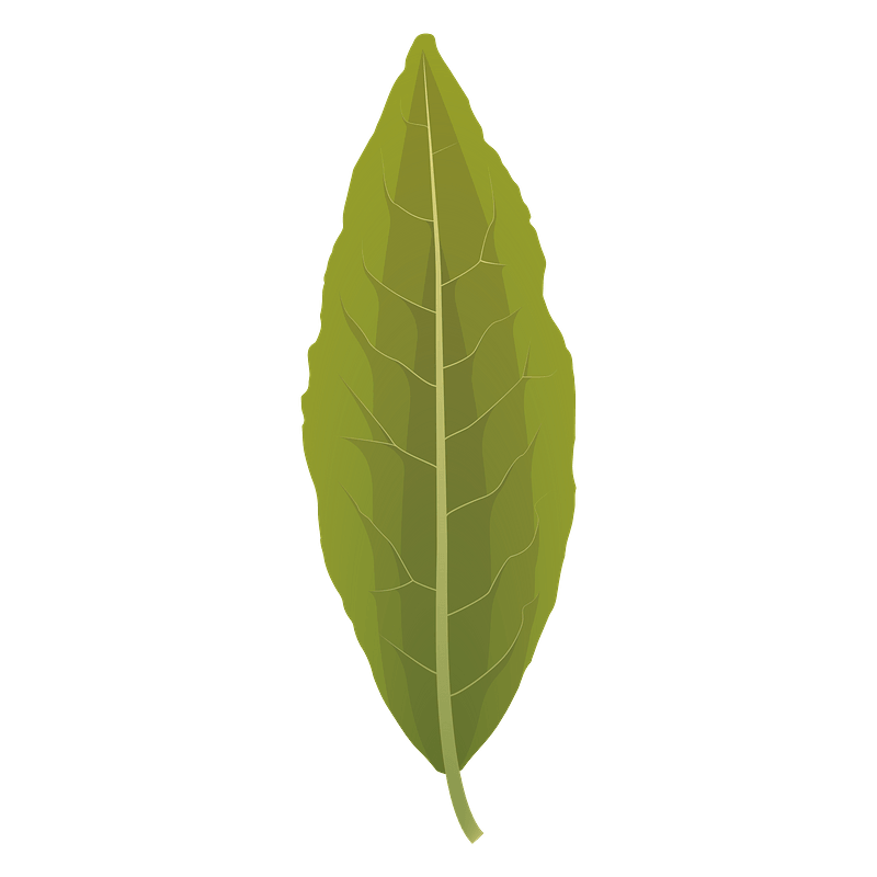 Laurel tree autumn leaf clipart. Free download transparent .PNG | Creazilla