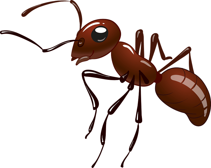 Ant clipart. Free download transparent .PNG | Creazilla