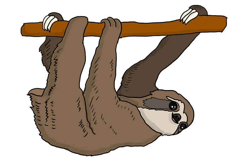 Sloth Hanging From Branch - Free vector clipart images on creazilla.com