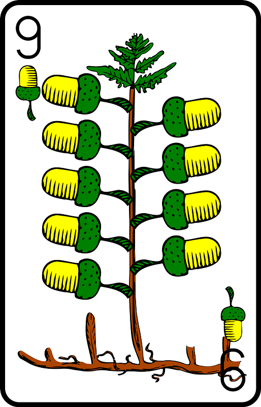 Nine of Acorns clipart. Free download transparent .PNG | Creazilla