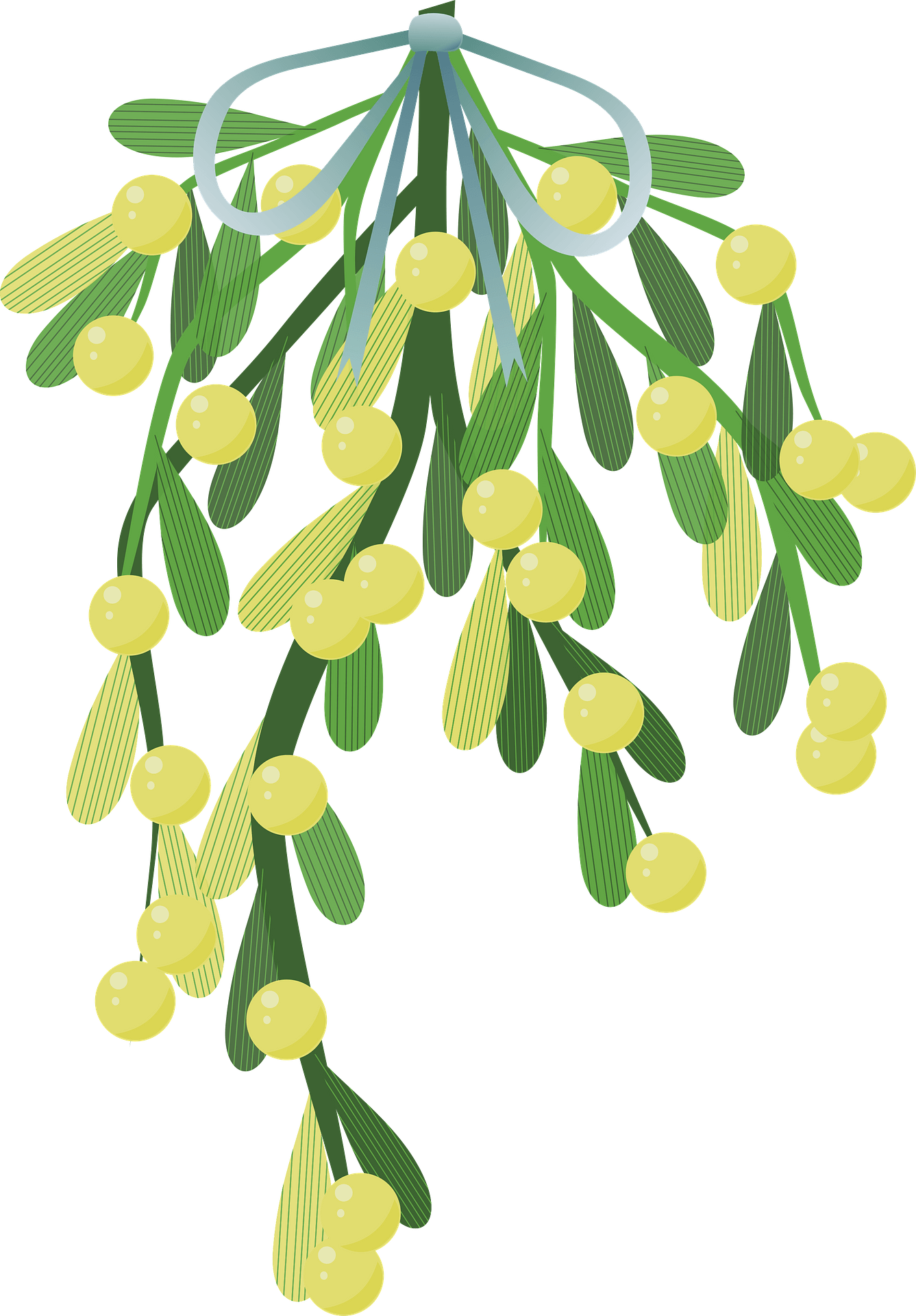 Mistletoe Clipart Transparent
