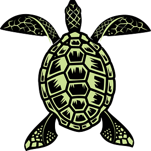 Sea turtle vector image - Free vector clipart images on creazilla.com