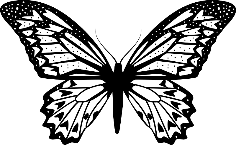 Butterfly insect silhouette - Free vector clipart images on creazilla.com