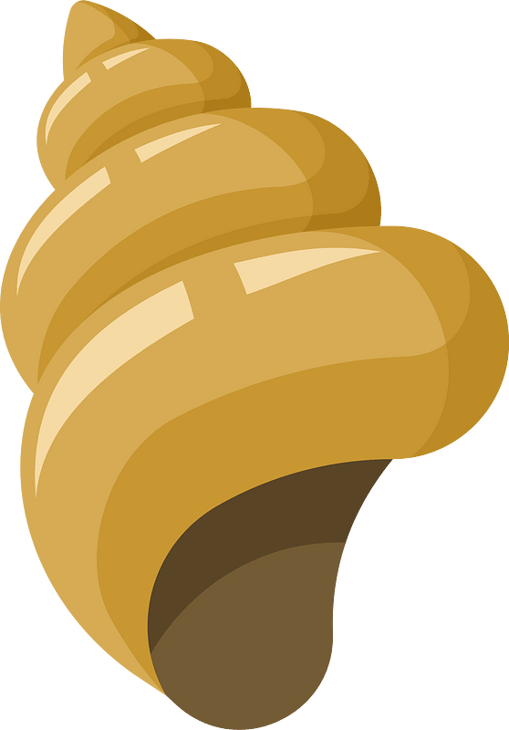 Conch shell clipart. Free download transparent .PNG | Creazilla
