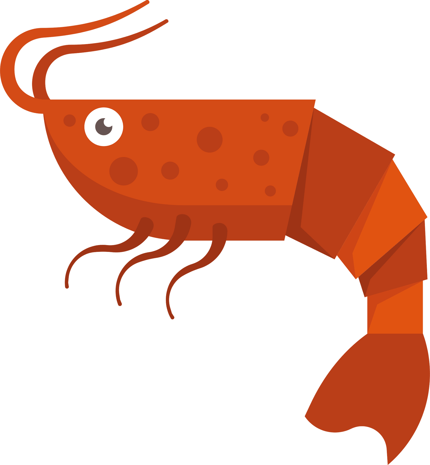 Shrimp Vector Png