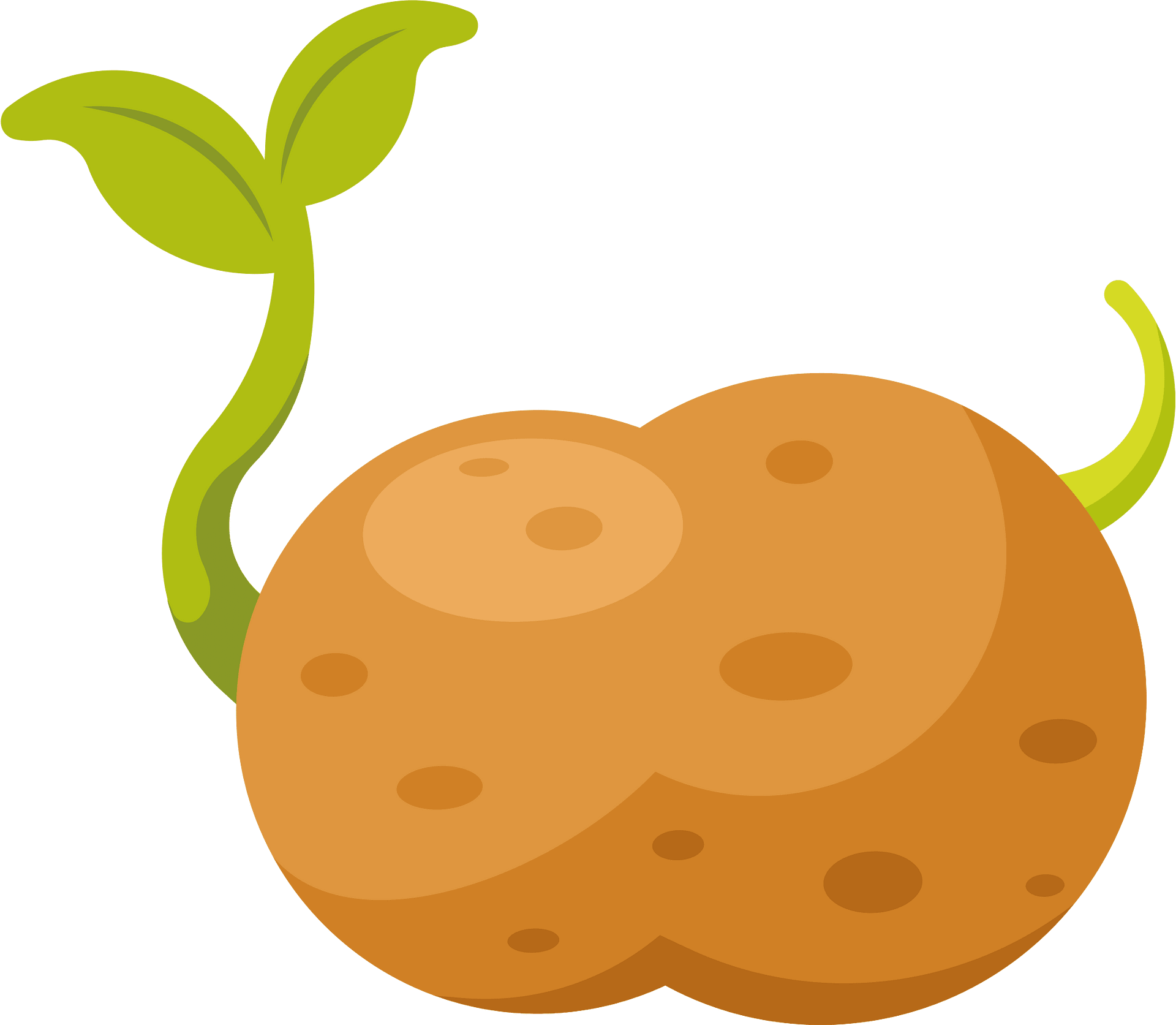 Potato Plant Clipart
