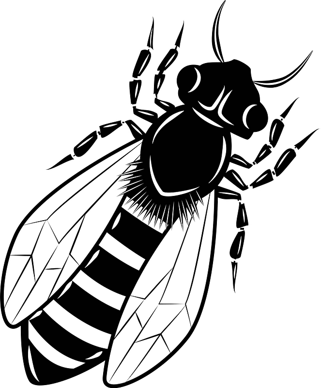 Black And White Bee Clip Art