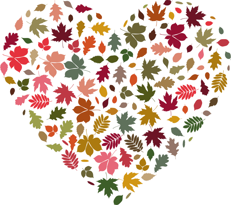 Autumn Leaves Heart Fall Colors clipart. Free download transparent .PNG ...