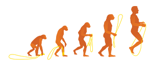 Evolution Clipart. Free Download Transparent .PNG or Vector | Creazilla