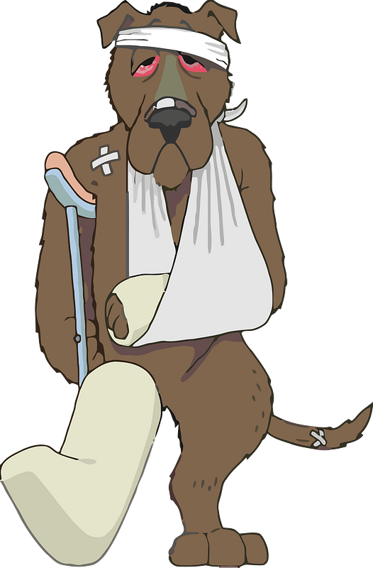 injured dog clipart. Free download transparent .PNG | Creazilla