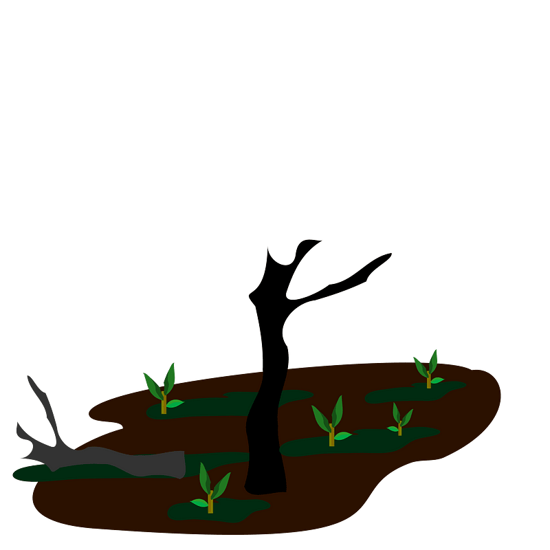 Revive clipart. Free download transparent .PNG | Creazilla