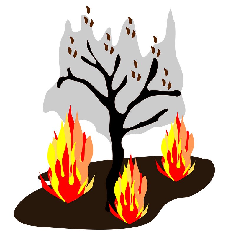 Burning forests - Free vector clipart images on creazilla.com