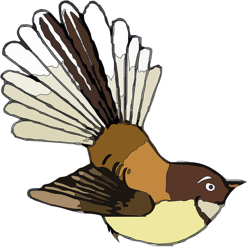 Fantail clipart. Free download transparent .PNG | Creazilla