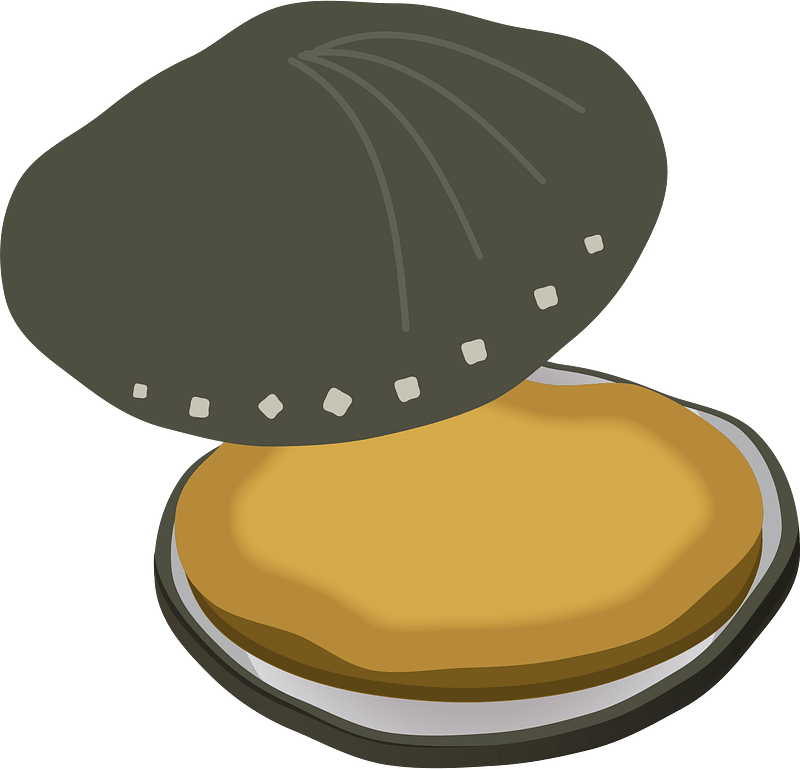 Abalone shellfish clipart. Free download transparent .PNG | Creazilla