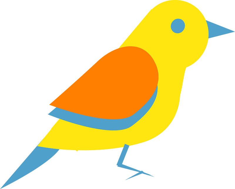 Birds animal - Free vector clipart images on creazilla.com